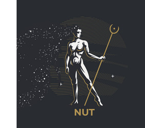 Egyptian goddess nut Royalty Free Vector Image