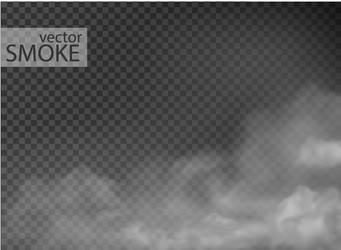 Smoke effect on a transparent background Vector Image