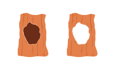 Tree Trunk Hole Vector Images (over 400)