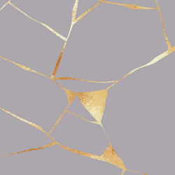 Kintsugi gold repair texture Royalty Free Vector Image