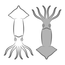 Free Squids Vector Images (over 290)