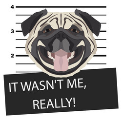 Dog Mugshot Guilty Vector Images (65)