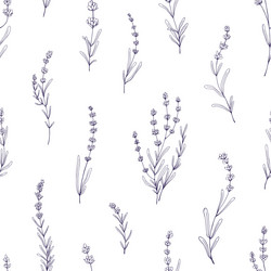 Lavanda Vector Images (over 230)