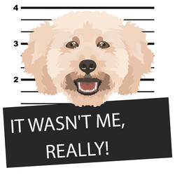 Dog Mugshot Guilty Vector Images (65)