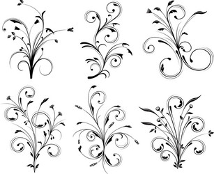 Floral scroll Royalty Free Vector Image - VectorStock
