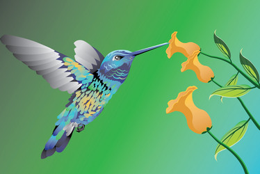 Hummingbird Vector Images (over 8,600)