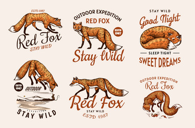 Red fox badges set forest ginger wild animal Vector Image