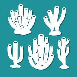 Sea Sponge Vector Images (over 1,700)