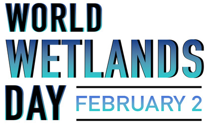 World Environment Day Typography Vector Images (over 3,000)