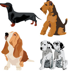 Dogs Vector Images (over 430,000)