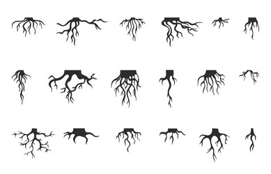 Tree Roots Vector Images (over 16,000)