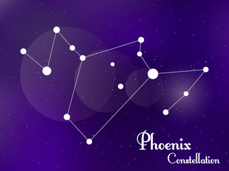 Phoenix constellation starry night sky zodiac Vector Image