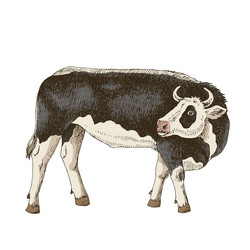 Ruminant Vector Images (over 750)