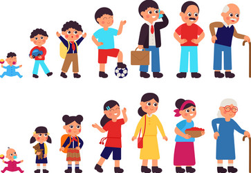 Human Life Stages: Growth & Aging Royalty Free Vector