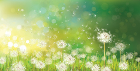 Spring nature background Royalty Free Vector Image