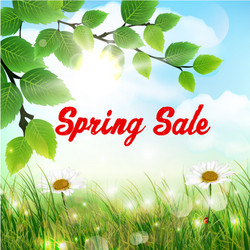 Spring meadow with green leaves background Vector Image