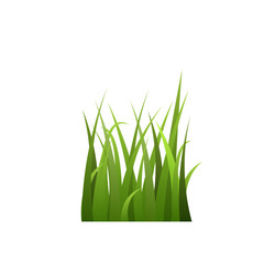 Tufts Of Grass Clipart No Background