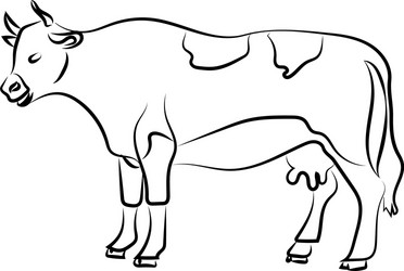 Cow Side View Vector Images (over 880)