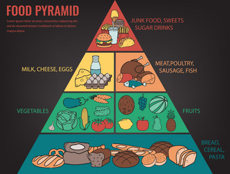 Food pyramid healthy eating infographic Royalty Free Vector