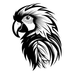 Parrot head silhouette Royalty Free Vector Image
