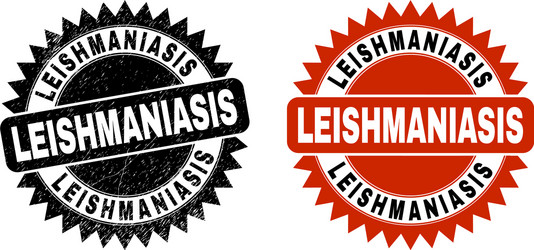 Leishmaniasis Vector Images (69)
