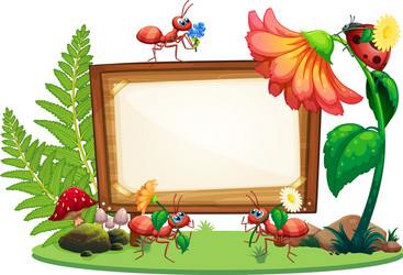Border template design with insects in garden Vector Image