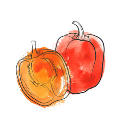 Hand drawn of red pepper sketch style doodle Vector Image