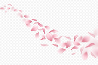 Background Pink Sakura Vector Images (over 13,000)