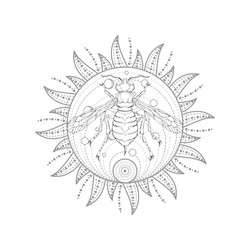 Bee Sacred Geometry Vector Images (98)