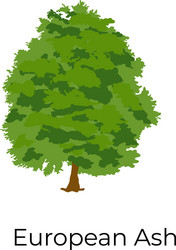 Ash Vector Images (over 22,000)