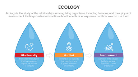 Cycle ecology diagrams with 4 Royalty Free Vector Image