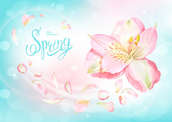 Spring collection background Royalty Free Vector Image