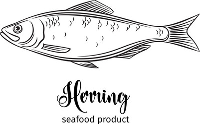 Blue Herring Vector Images (over 1,000)