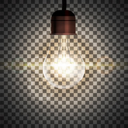 Realistic edison ligt bulb Royalty Free Vector Image