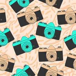 Vintage seamless pattern with camera Royalty Free Vector