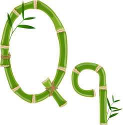 Flashcard letter b is for bamboo Royalty Free Vector Image