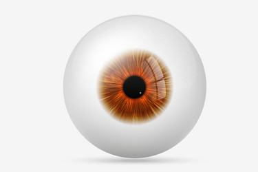 Human Eye Ball Vector Images (over 2,800)