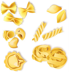Italian traditional dry pasta realistic pictogram Vector Image
