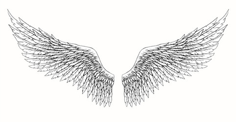 How To Draw Realistic Angel Wings