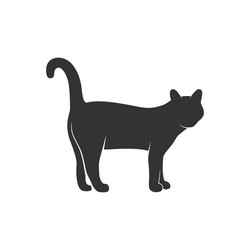 Cat Vector Images (over 340,000)