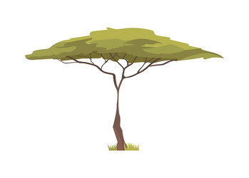 Acacia Tree Vector Images (over 2,000)
