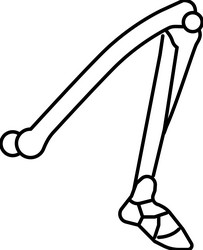 Leg Bone Vector Images (over 17,000)