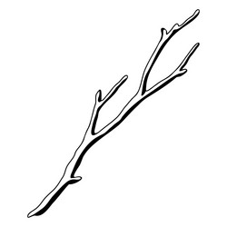 Dry branch Royalty Free Vector Image - VectorStock