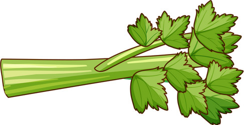 Celery Sticks Clipart