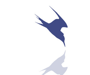 Diving Bird Silhouette Vector Images (over 180)