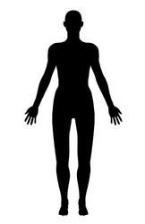 Body Vector Images (over 720,000)