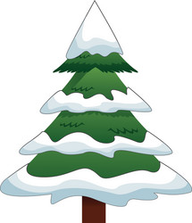 Pine trees covered with snow Royalty Free Vector Image