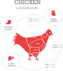 Chicken Diagram Vector Images (over 720)