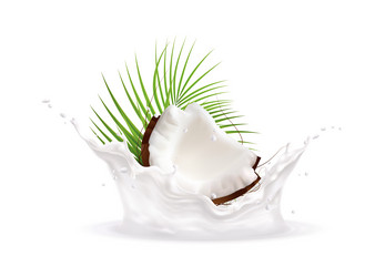 Coconut in a milk splash on transparent Royalty Free Vector