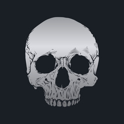 Skull and bones design Royalty Free Vector Image